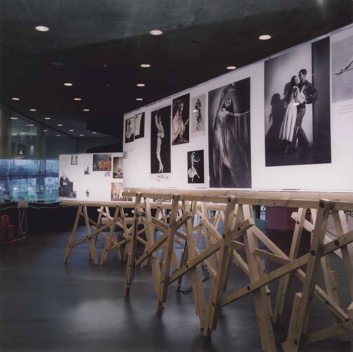 Viennese Expressionist Dance ← Austrian Cultural Forum ← POLIMEKANOS